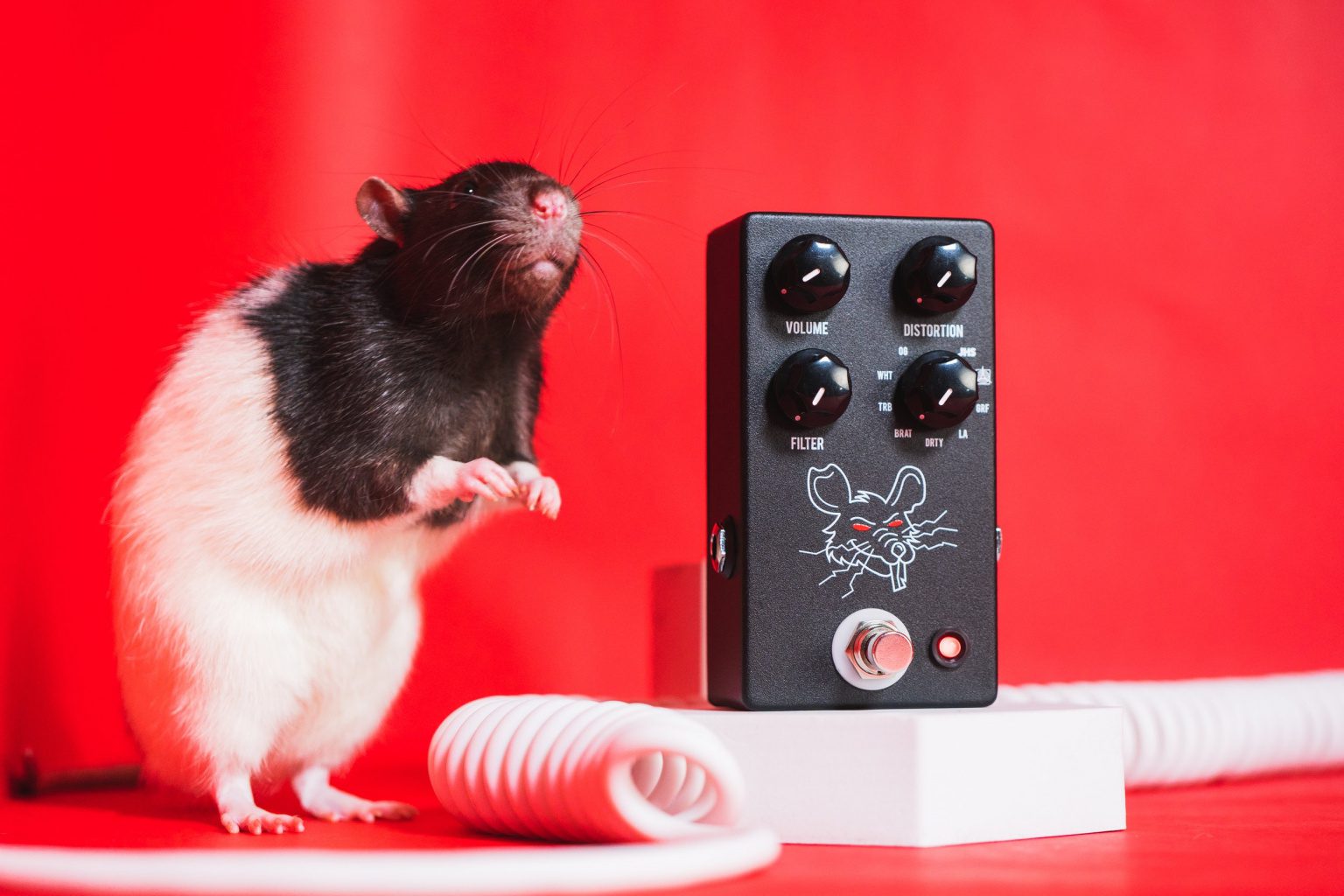 JHS PackRat: Womöglich das ultimative RAT-Pedal! - gearnews.de