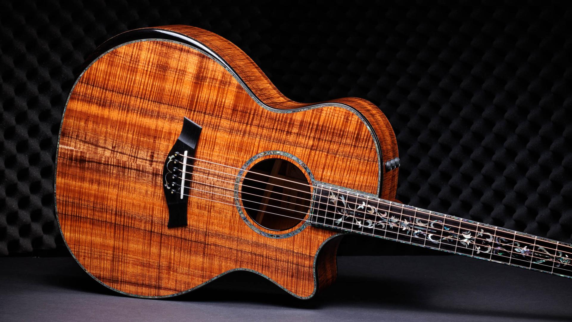 Taylor Guitars 50th Anniversary Collection: Edles für bis zu 19999 USD ...