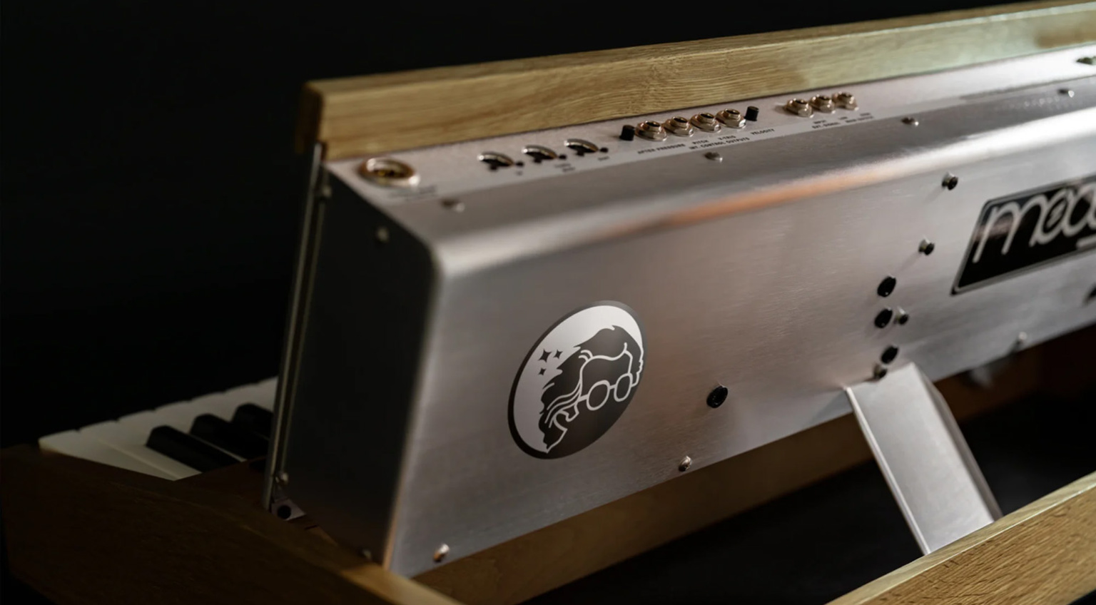 Bob Moog Tribute Edition Minimoog Model D: Limitiertes Sondermodell zu ...
